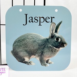 Bunny Rabbit Name Tag, Rabbit Accessories, Pet Tag, Bunny Personalized ...