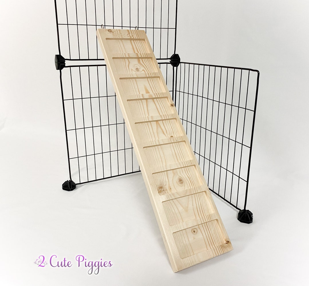 5.5" Personalized Guinea Pig Cage Ramp, Small Pet Ramp, Small Animal ...