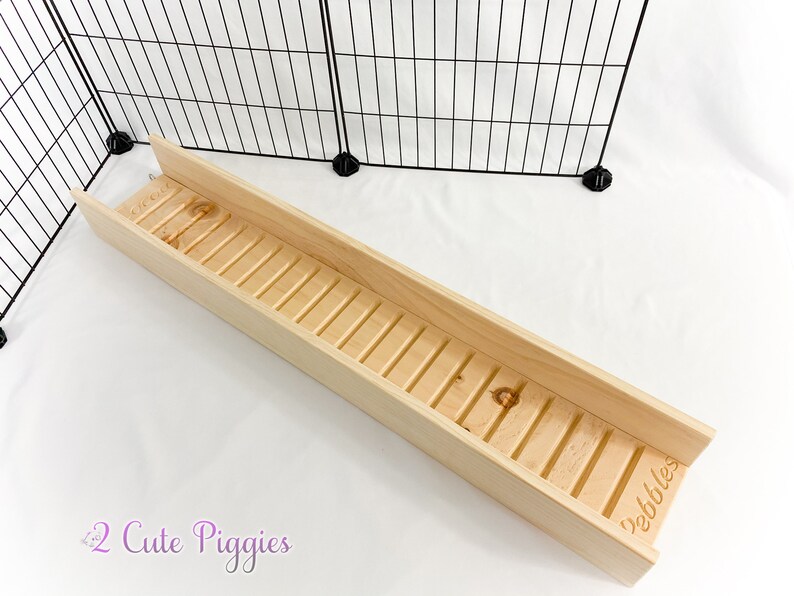 5.5 Guinea Pig Ramp With Sides Guinea Pig Accessory - Etsy