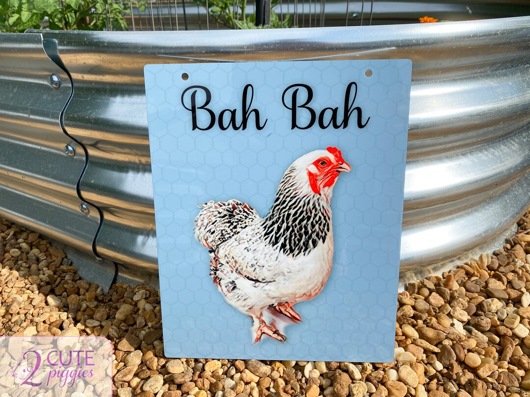 Outdoor Chicken Name Tag Chicken Coop Sign Chicken Sign - Etsy