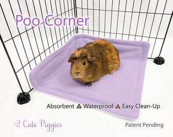 Guinea Pig Name Tag, Guinea Pig Accessories, Pet Tag, Guinea Pig ...