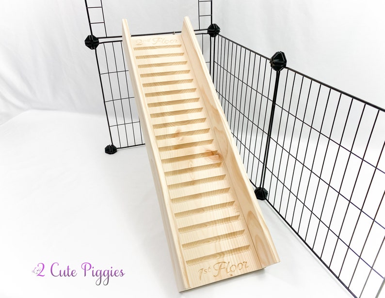 7.25 Guinea Pig Ramp With Sides Guinea Pig Accessory - Etsy