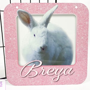 3-D Rabbit Name Tag, Bunny Cage Tag, Rabbit Cage Name Tag, Rabbit Cage ...