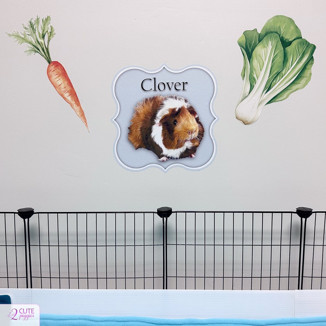 Guinea Pig Personalized Wall Decal, Guinea Pig Name Tag, Guinea Pig ...