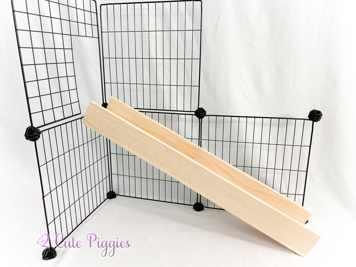 5.5 Guinea Pig Ramp With Sides Guinea Pig Accessory - Etsy