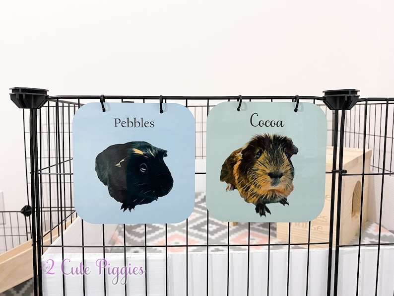 Guinea Pig Name Tag Guinea Pig Accessories Pet Tag Guinea - Etsy