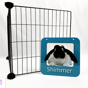 3-D Rabbit Name Tag, Bunny Cage Tag, Rabbit Cage Name Tag, Rabbit Cage ...