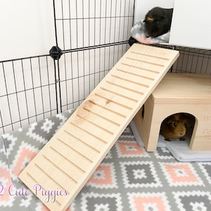 7.25" Personalized Guinea Pig Cage Ramp, Small Pet Ramp, Small Animal ...