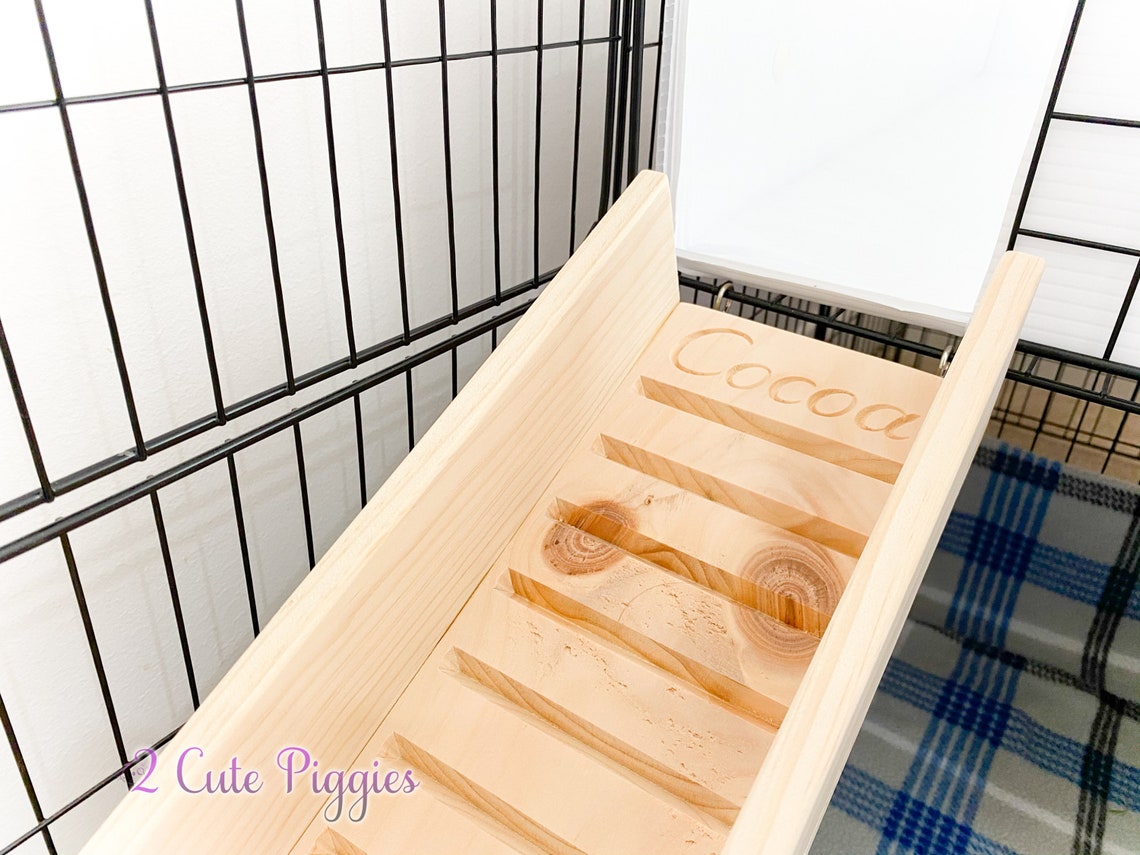 5.5 Guinea Pig Ramp with Sides Guinea Pig Accessory | Etsy