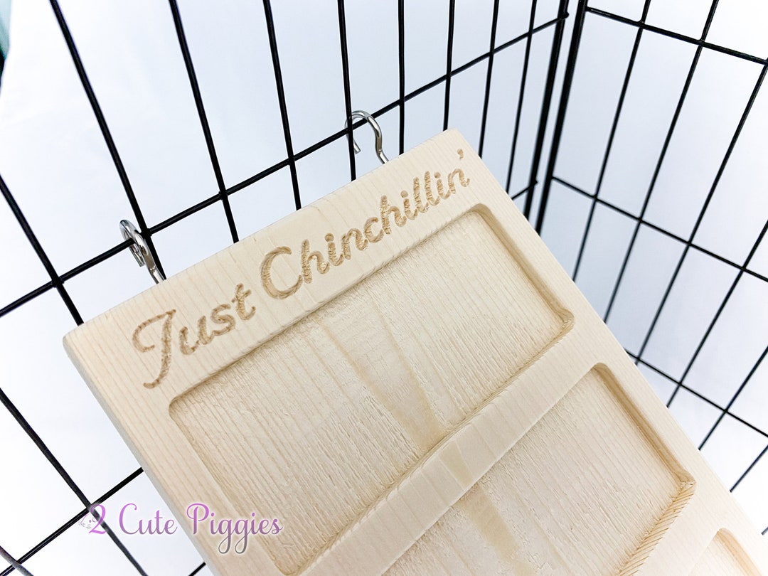 5.5 Chinchilla Ramp, Chinchilla Cage Accessory, Chinchilla Ledge, Rat ...