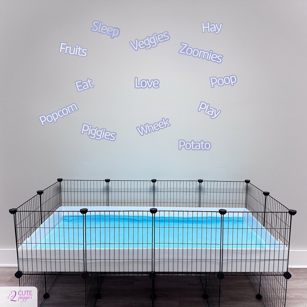 Guinea Pig Wall Decals, Guinea Pig Words, Guinea Pig Decor, Guinea Pig ...