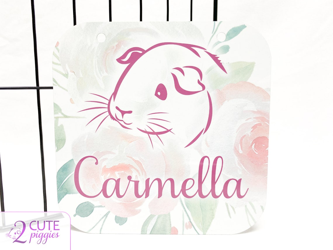 Guinea Pig Name Tag Guinea Pig Accessories Pet Tag Guinea - Etsy