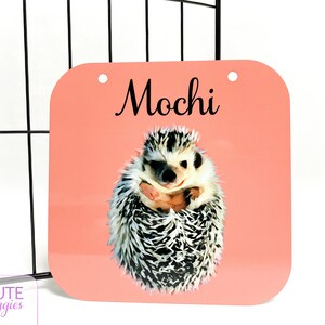 Hedgehog Name Tag, Hedgehog Accessories, Pet Tag, Hedgehog Personalized ...