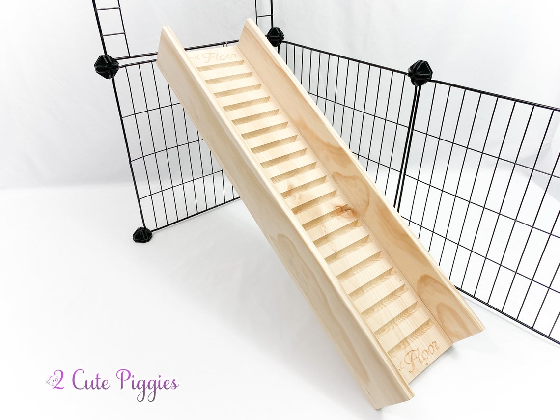 7.25 Guinea Pig Ramp With Sides Guinea Pig Accessory - Etsy