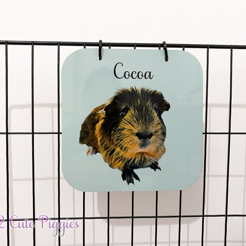 Guinea Pig Cage Tag Personalized Custom Engraved Wood Pet - Etsy