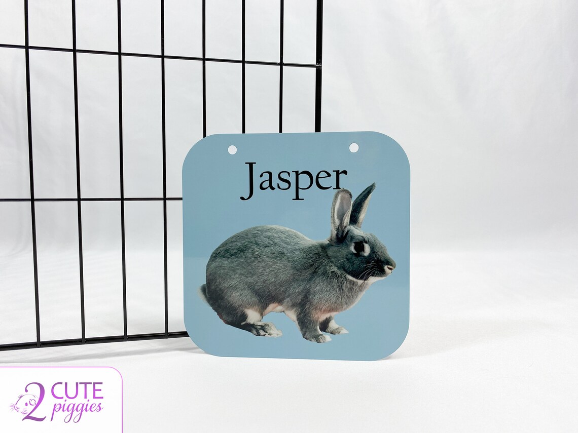 Bunny Rabbit Name Tag Rabbit Accessories Pet Tag Bunny | Etsy