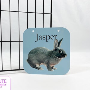 Bunny Rabbit Name Tag, Rabbit Accessories, Pet Tag, Bunny Personalized ...