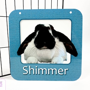 3-D Rabbit Name Tag, Bunny Cage Tag, Rabbit Cage Name Tag, Rabbit Cage ...