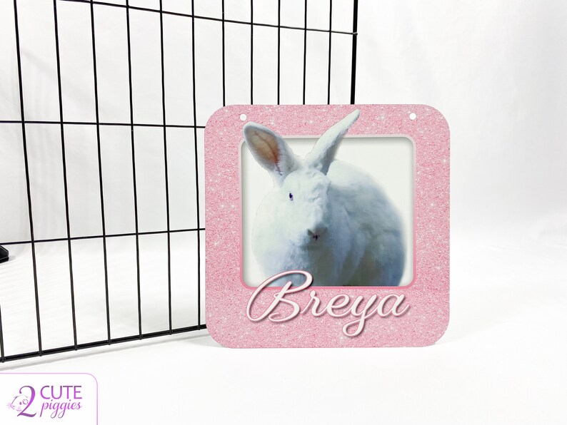 3-D Rabbit Name Tag Bunny Cage Tag Rabbit Cage Name Tag - Etsy