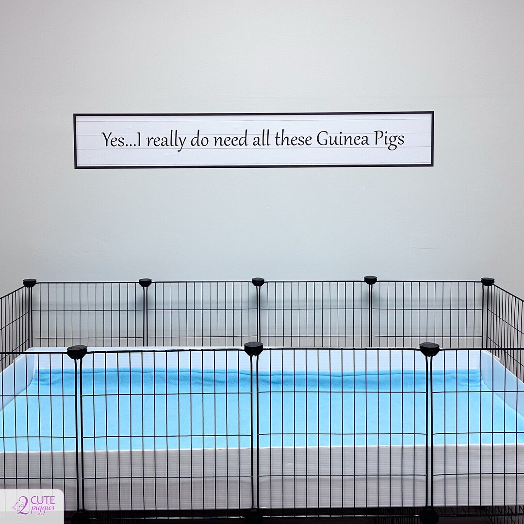 Guinea Pig Sign Wall Decal, Guinea Pig Accessories for Cage, Guinea Pig ...
