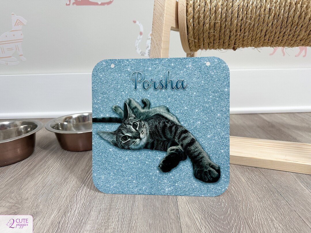 Cat Name Sign, Cat Sign Above Cat Door, Cat Name Tag, Catio ...