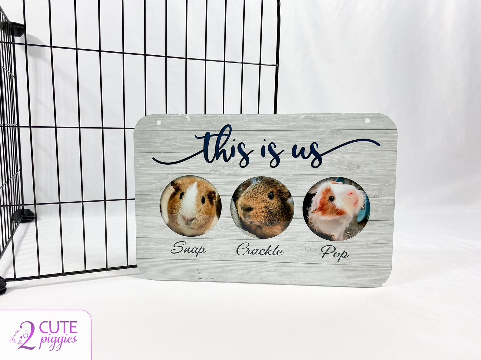 Guinea Pig Name Tag, Guinea Pig Accessories, Guinea Pig Cage ...