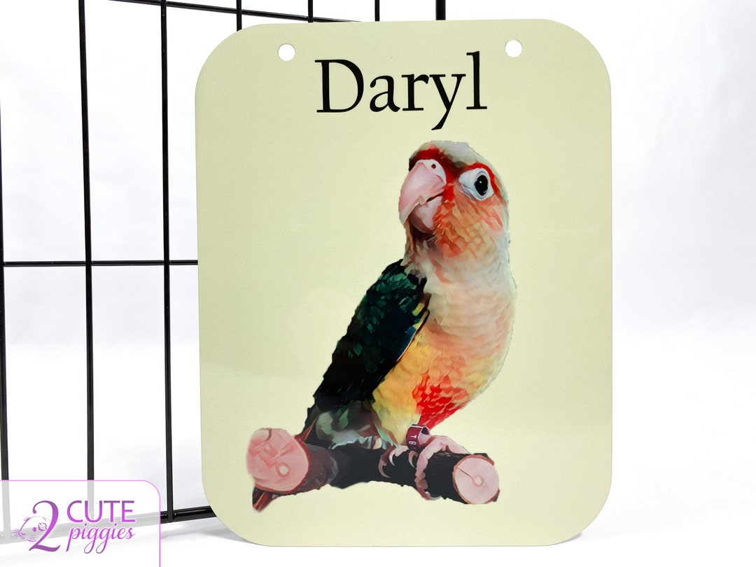 Bird Name Tag, Bird Cage Accessories, Pet Tag, Bird Personalized Cage ...