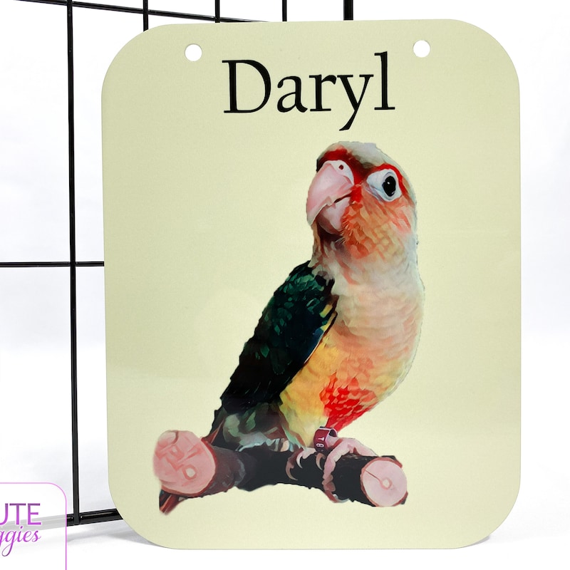 Bird Cage Decor - Etsy