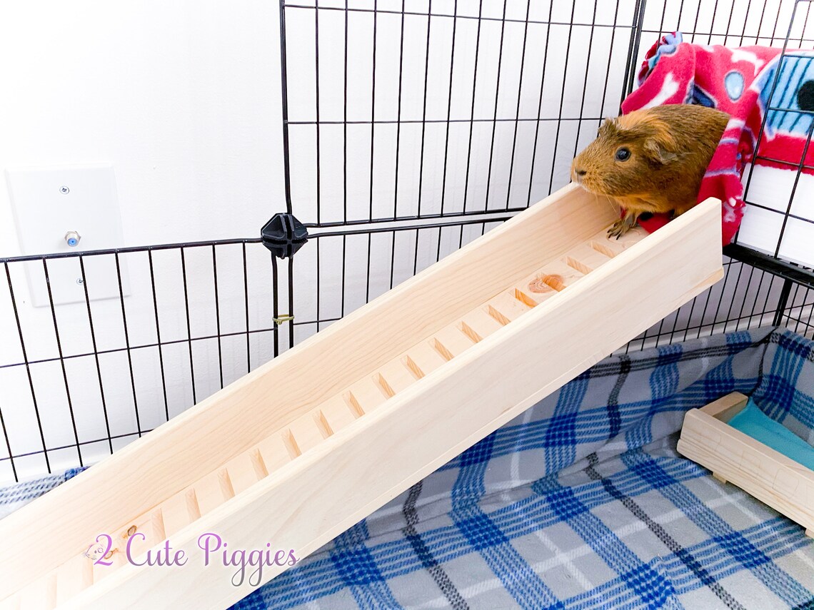 5.5 Guinea Pig Ramp with Sides Guinea Pig Accessory | Etsy