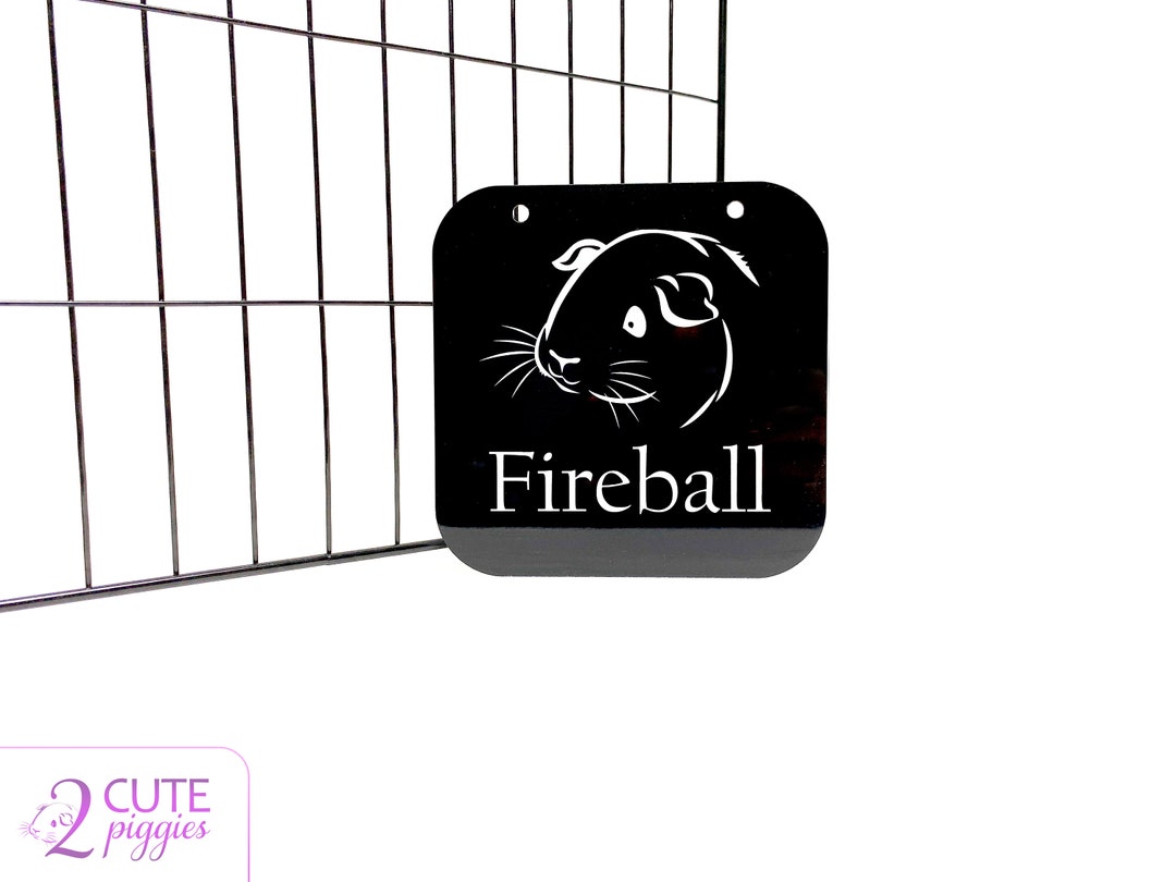 Guinea Pig Name Tag, Guinea Pig Accessories, Pet Tag, Guinea Pig ...