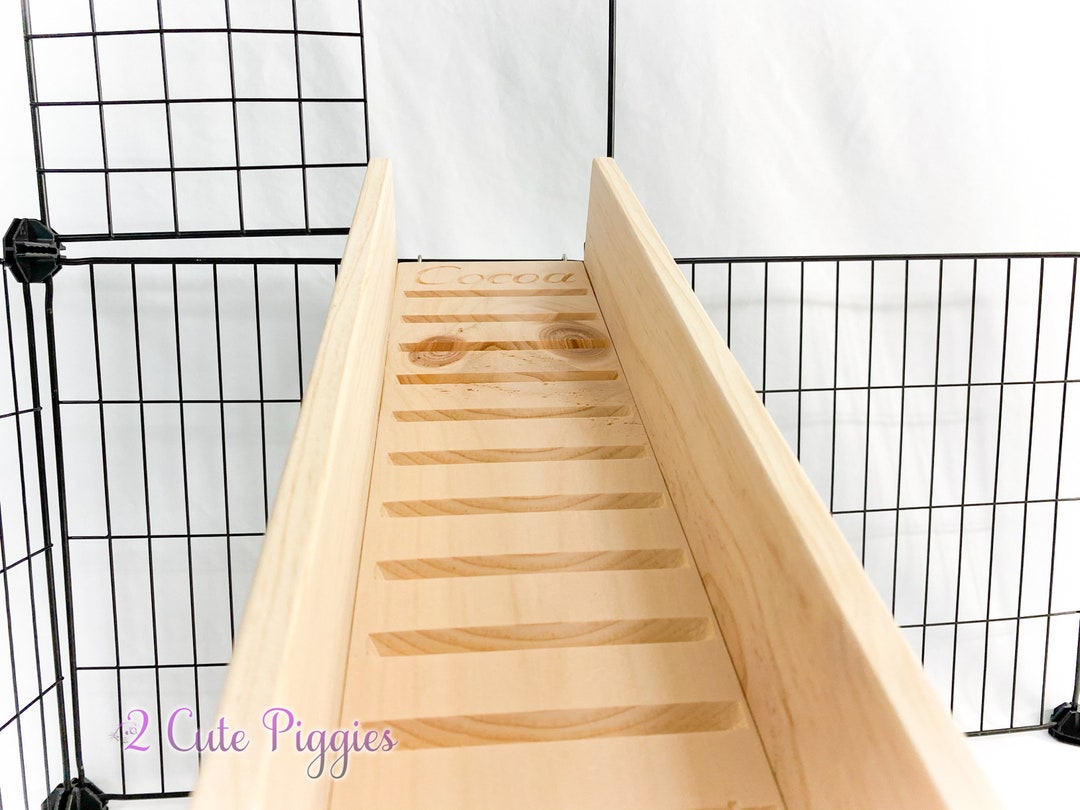 5.5" Guinea Pig Ramp With Sides, Guinea Pig Accessory, Chinchilla Cage ...