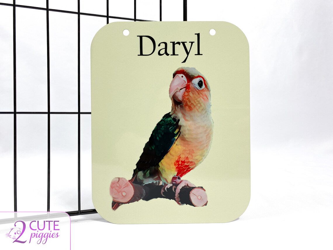 Bird Name Tag Bird Cage Accessories Pet Tag Bird - Etsy