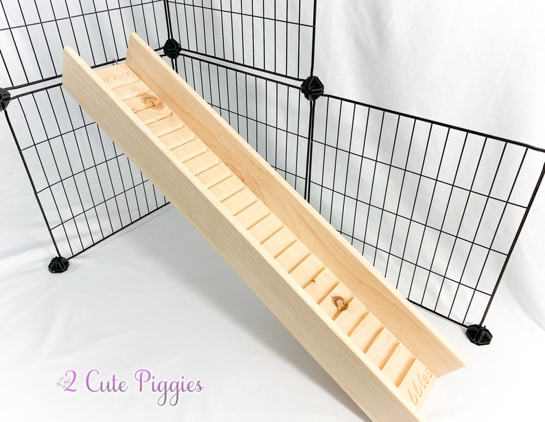 5.5 Guinea Pig Ramp With Sides Guinea Pig Accessory - Etsy