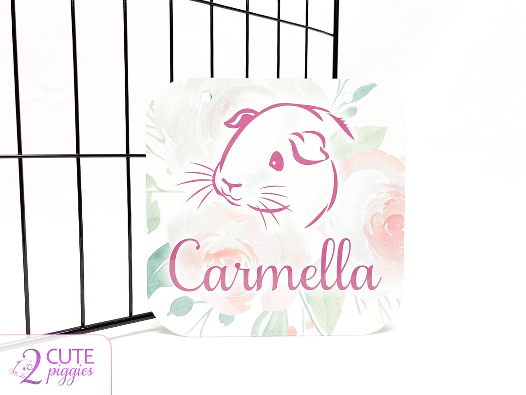 Guinea Pig Name Tag, Guinea Pig Accessories, Pet Tag, Guinea Pig ...