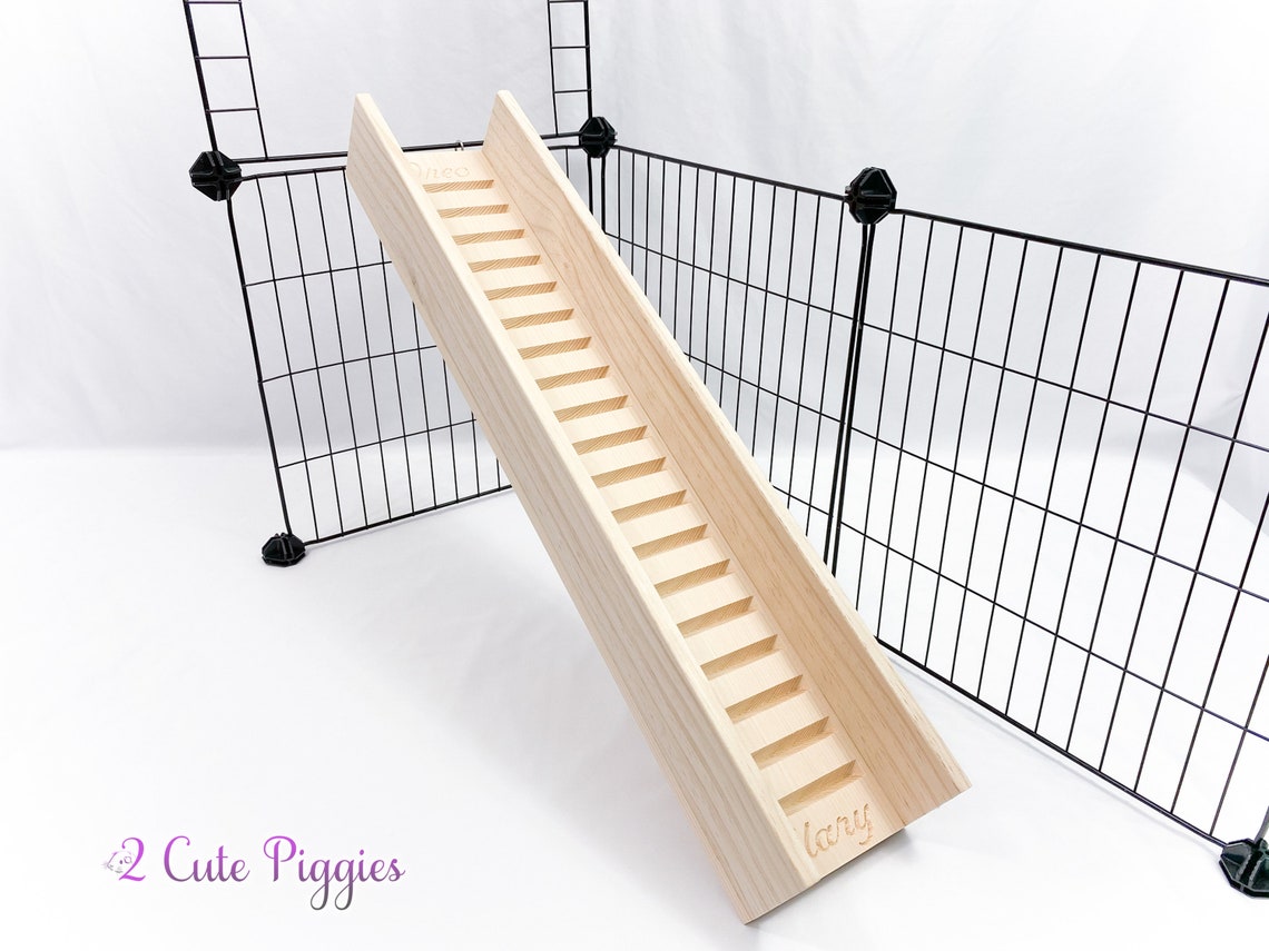 5.5 Guinea Pig Ramp With Sides Guinea Pig Cage Ramp | Etsy