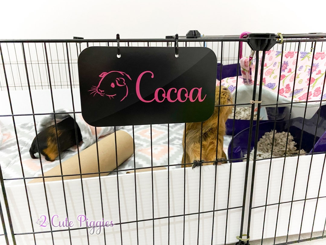 Guinea Pig Name Tag, Guinea Pig Accessories, Pet Tag, Guinea Pig ...