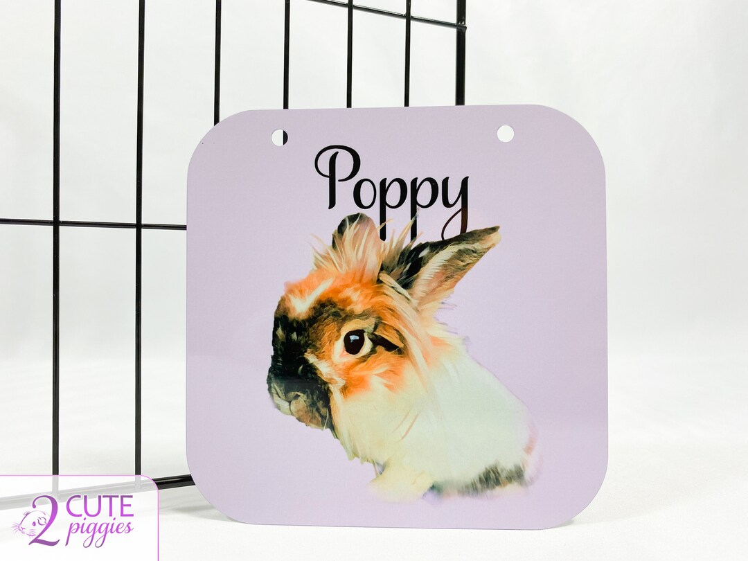 Bunny Rabbit Name Tag, Rabbit Accessories, Pet Tag, Bunny Personalized ...