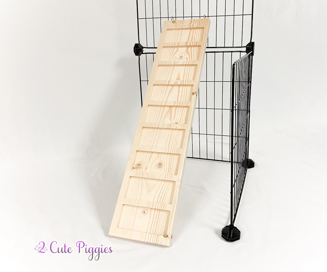 5.5" Personalized Guinea Pig Cage Ramp, Small Pet Ramp, Small Animal ...