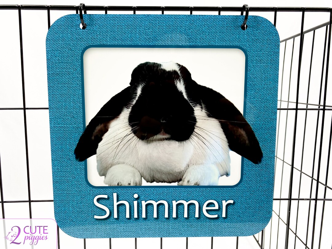 3-D Rabbit Name Tag, Bunny Cage Tag, Rabbit Cage Name Tag, Rabbit Cage ...