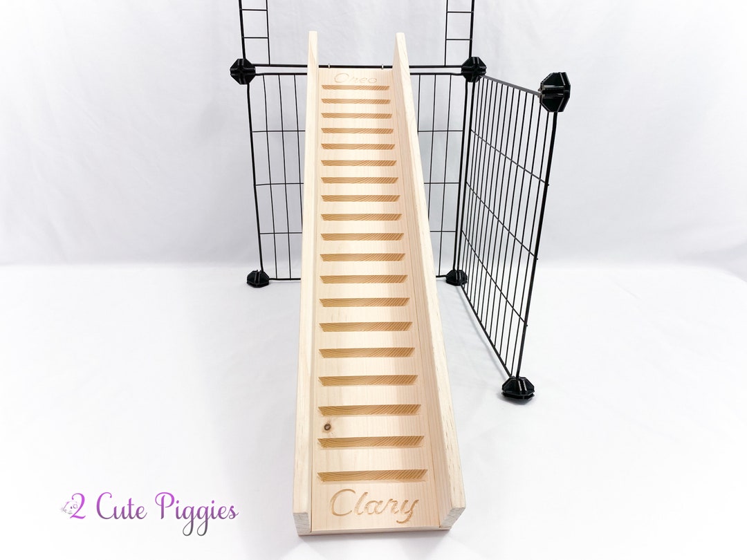 5.5" Guinea Pig Ramp With Sides, Guinea Pig Cage Ramp, Guinea Pig ...