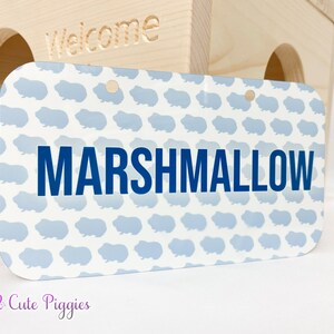Guinea Pig Name Tag, Guinea Pig Accessories, Pet Tag, Guinea Pig ...