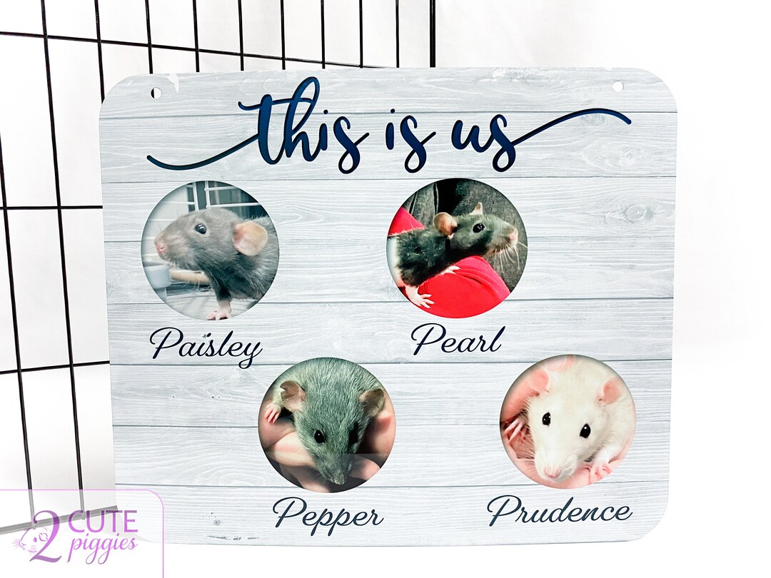 Rat Name Tag, Rat Cage Name Tag, Rat Accessories, Pet Tag, Rat ...