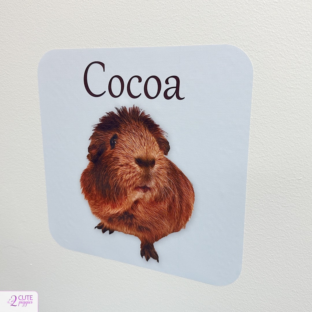 Guinea Pig Name Tag Wall Decal, Guinea Pig Accessories, Guinea Pig Wall ...