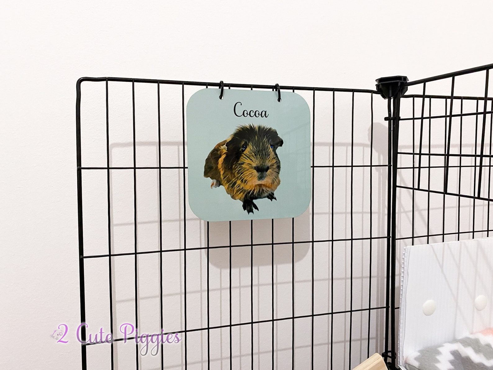 Guinea Pig Name Tag, Guinea Pig Accessories, Pet Tag, Guinea Pig ...