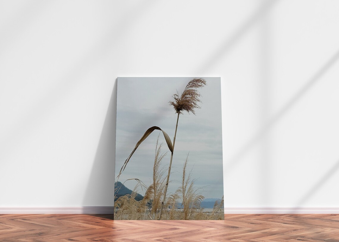 Reed Forest Wall Art Printable Photo Wall Art Digital Photo - Etsy