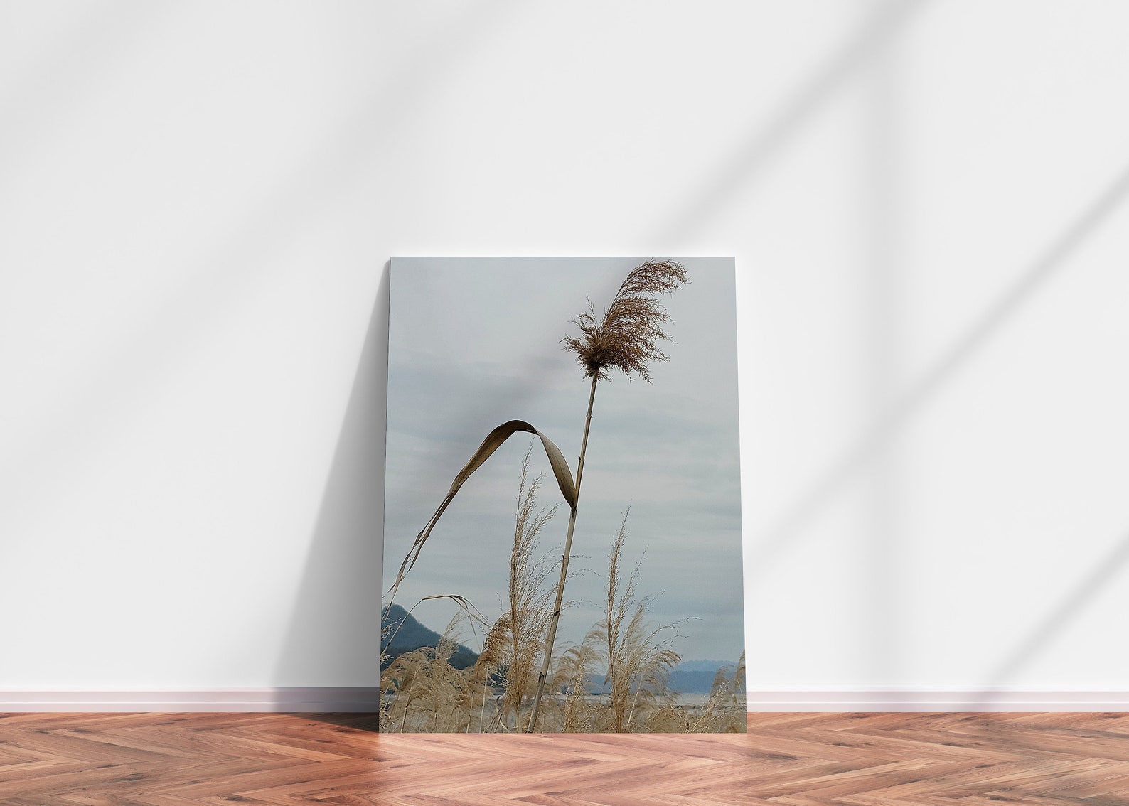 Reed Forest Wall Art Printable Photo Wall Art Digital Photo - Etsy