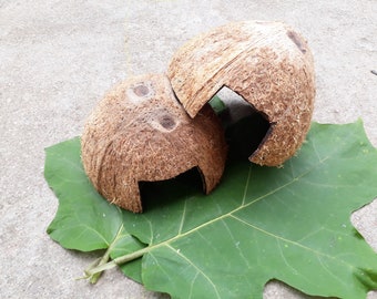 Coconut Aquarium Cave - Etsy
