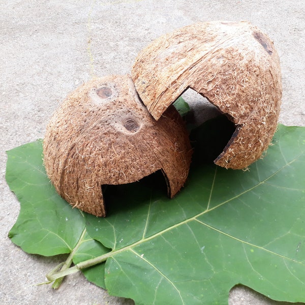 Aquarium Cave - Etsy