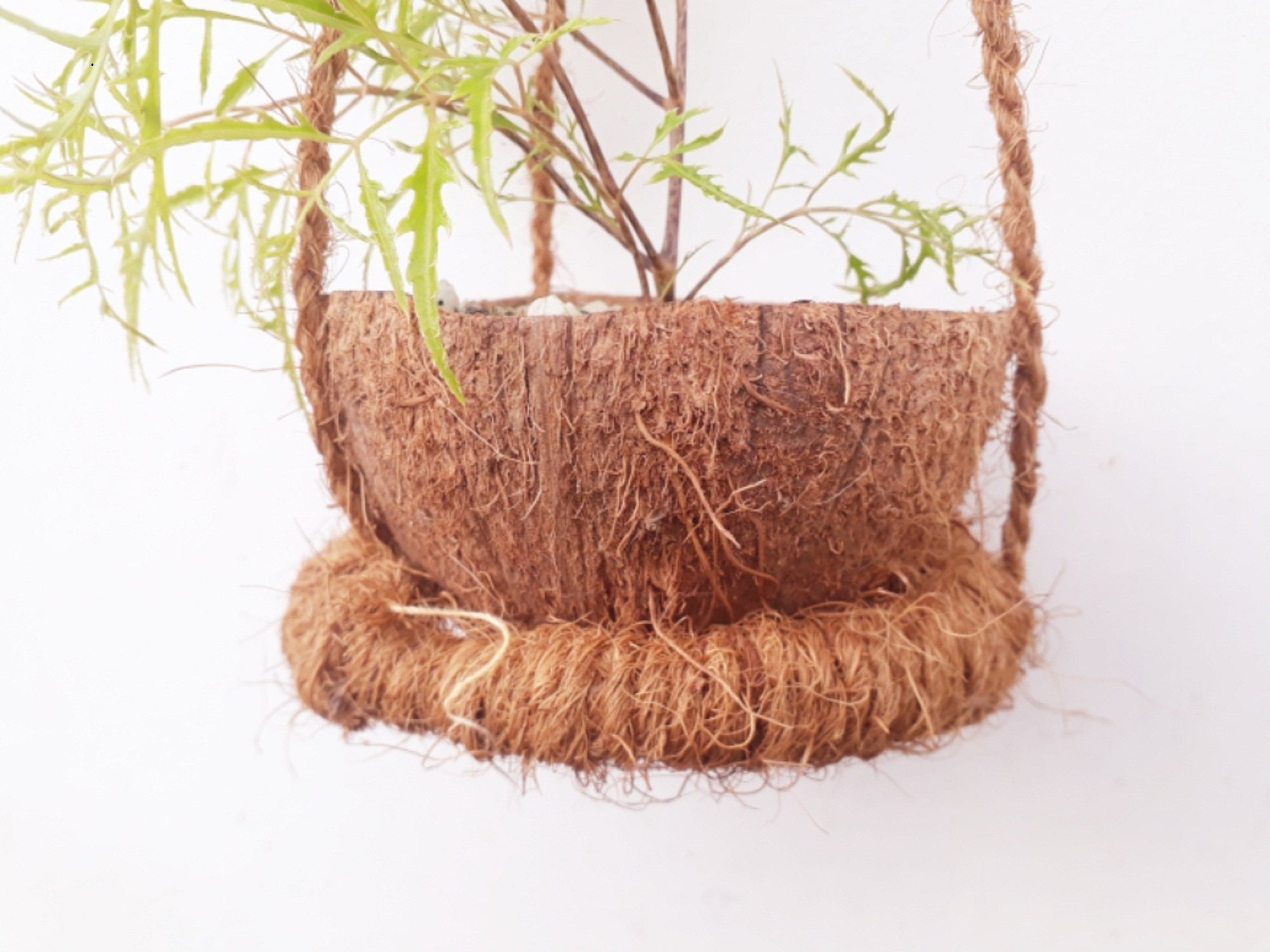 Coconut Shell Plant Hangercoconut Fiber Rope Indoor Outdoor | Etsy