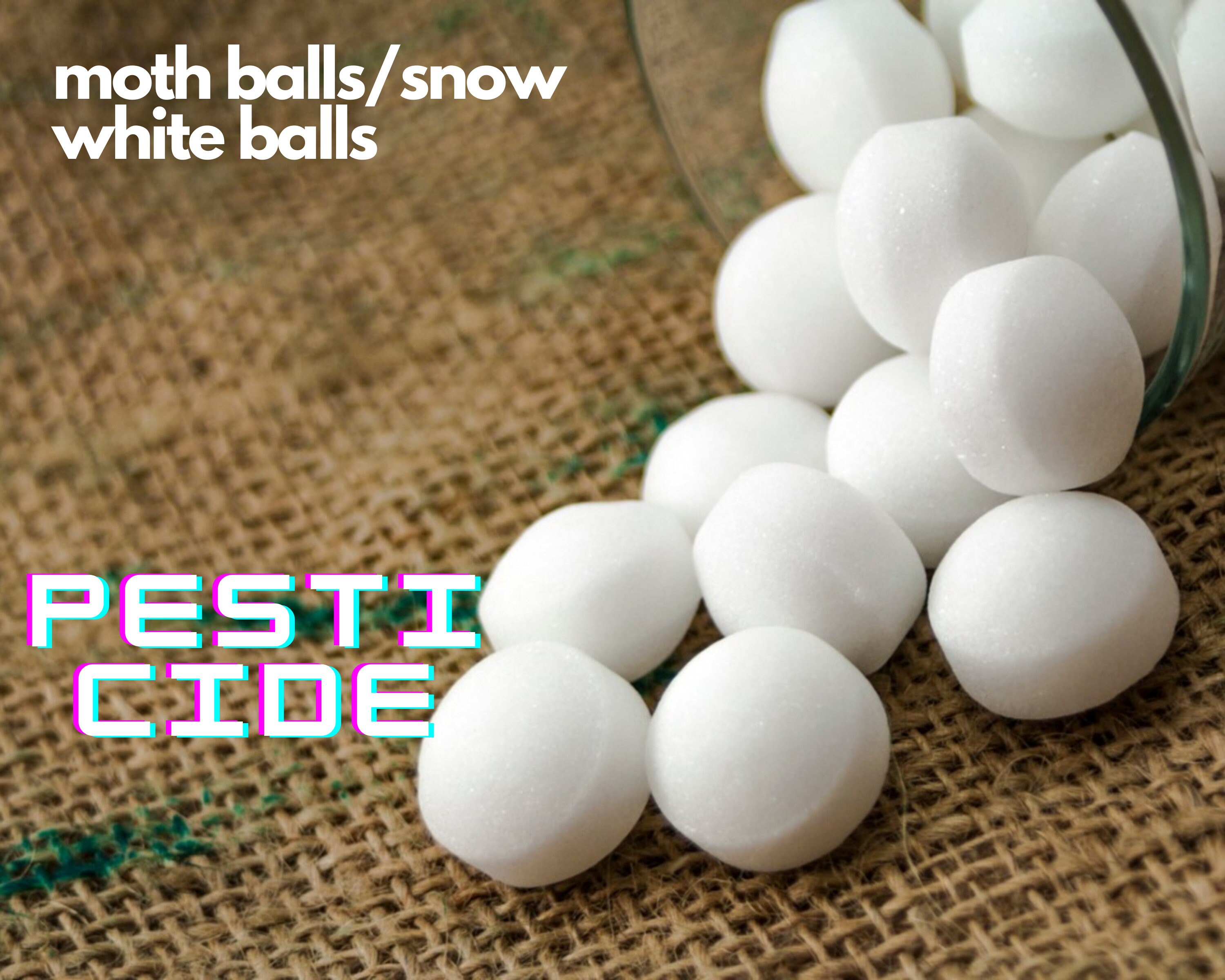 Moth Balls / snow white Balls/ Pest Insect Control/ camphor | Etsy